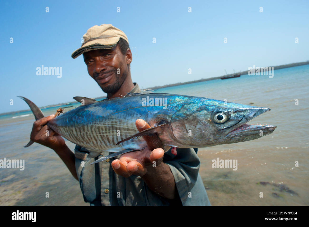Wahoo fish -Fotos und -Bildmaterial in hoher Auflösung – Alamy