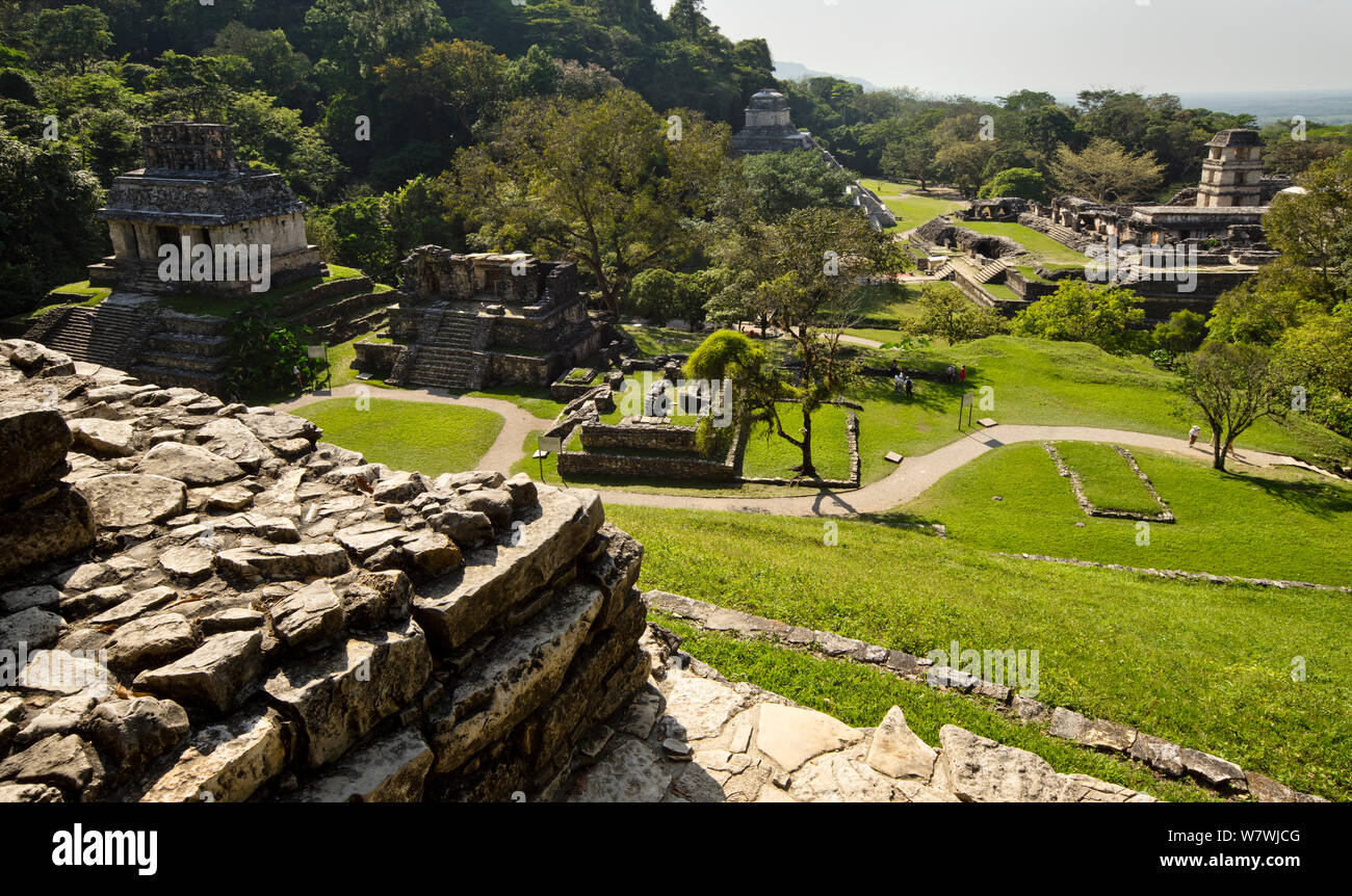 Palenque mexico temple temples -Fotos und -Bildmaterial in hoher ...