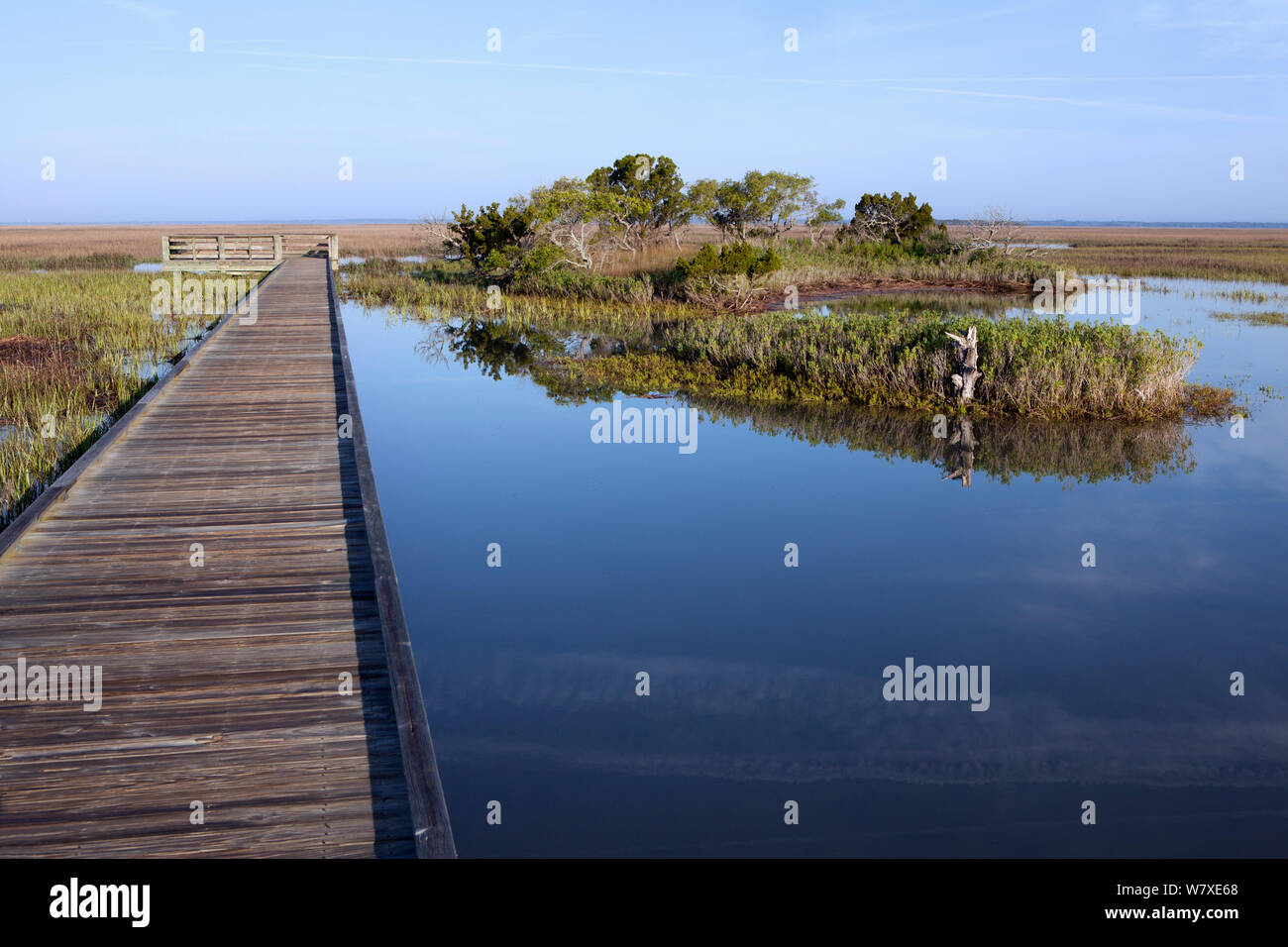 Marschland north carolina -Fotos und -Bildmaterial in hoher Auflösung ...