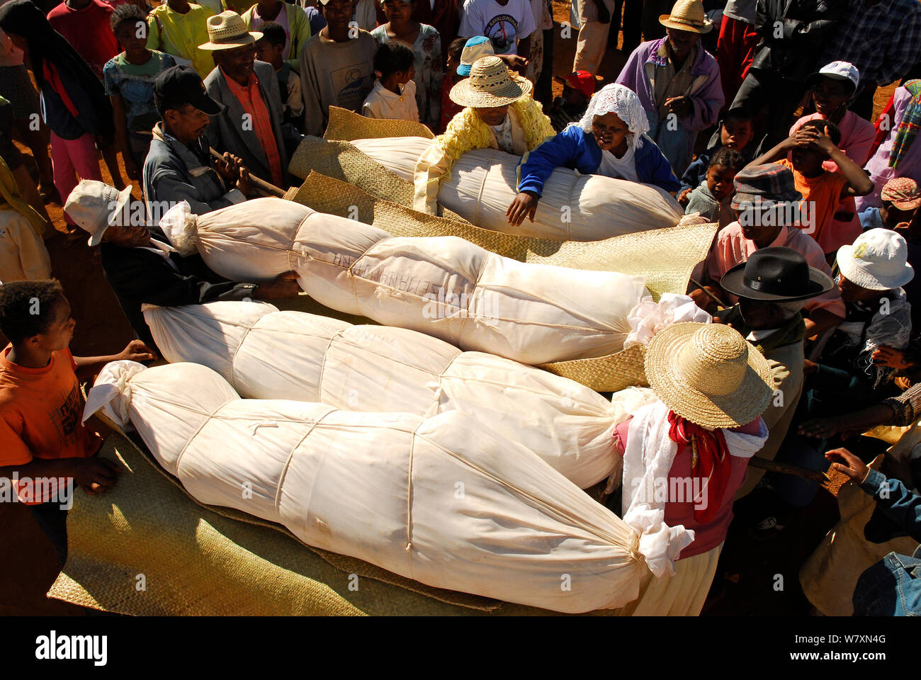 Tote Leichen Stockfotos und -bilder Kaufen - Alamy