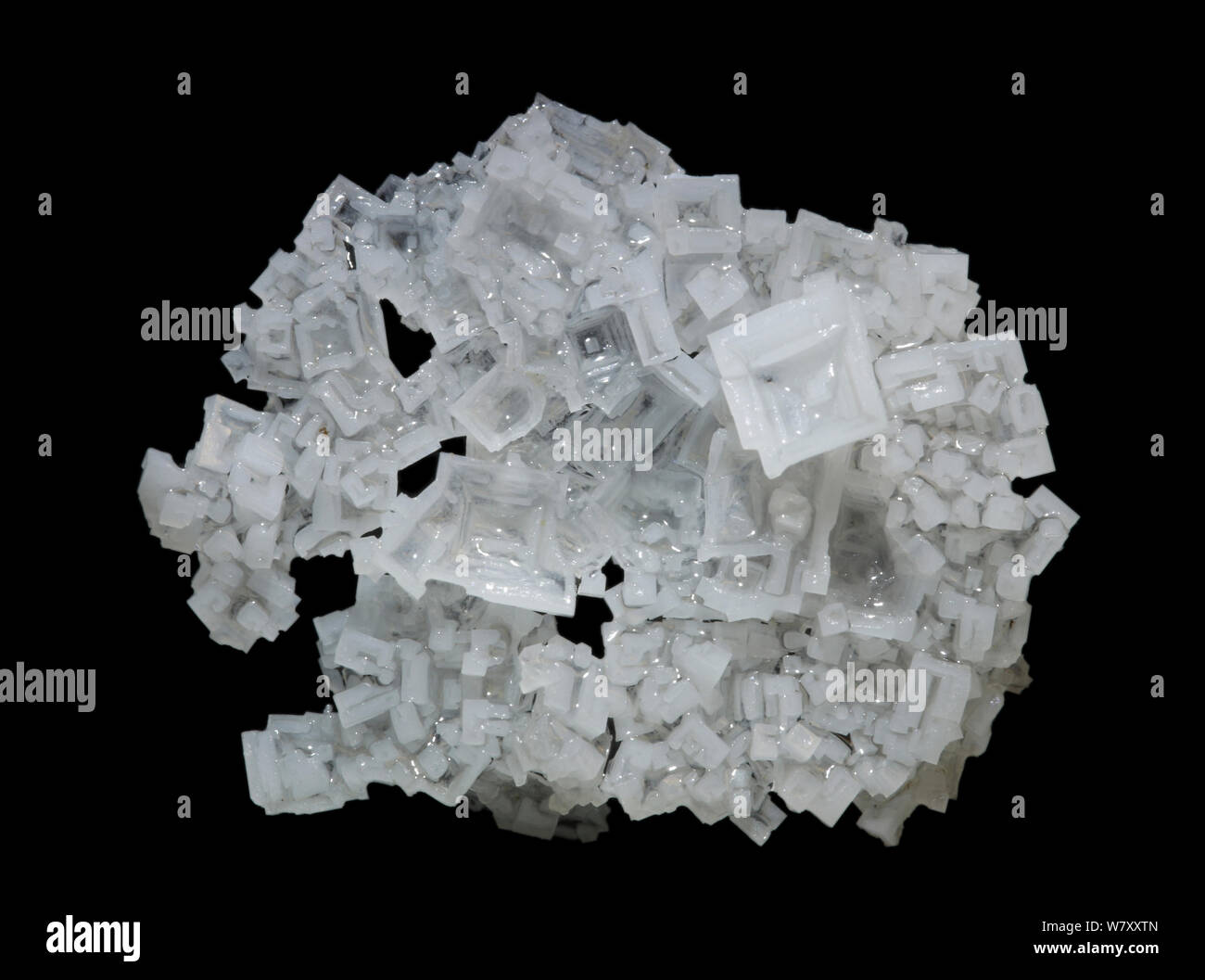 Sodium chloride crystals -Fotos und -Bildmaterial in hoher Auflösung ...