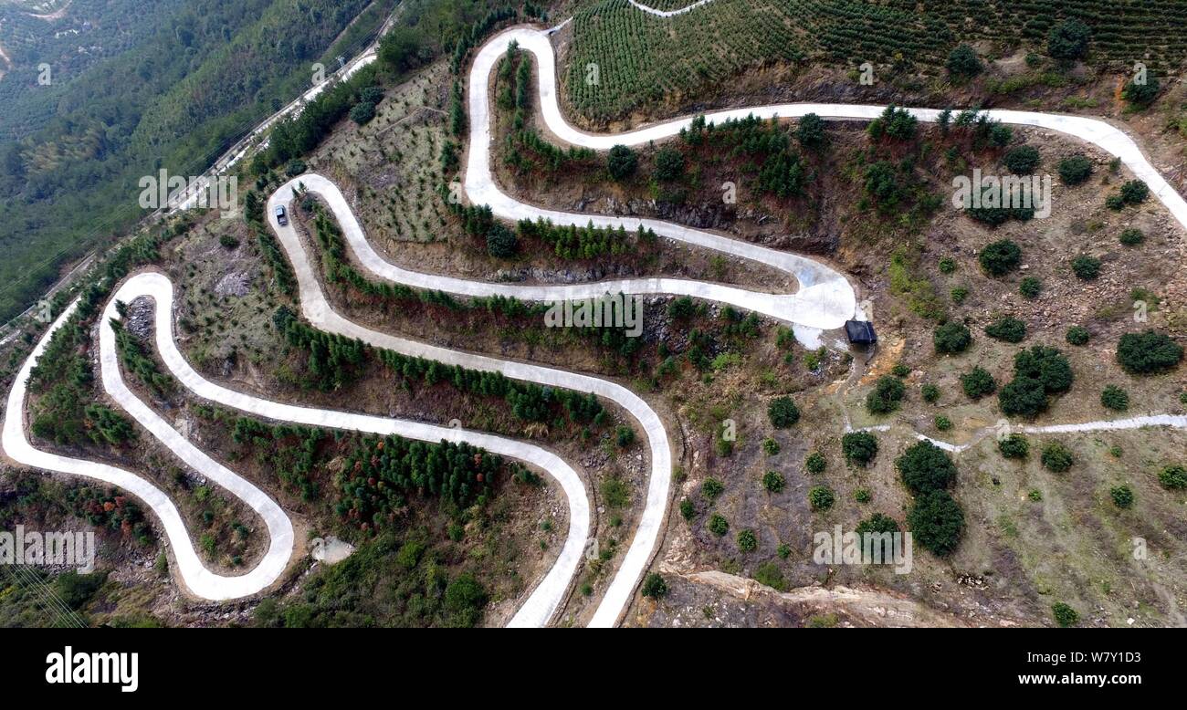 Luftaufnahme von einem Zick-zack-berg Straße, die zu einer Teeplantage ...
