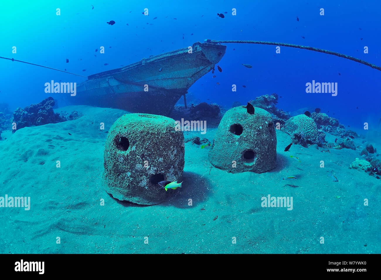 Gesunkenes riff -Fotos und -Bildmaterial in hoher Auflösung – Alamy