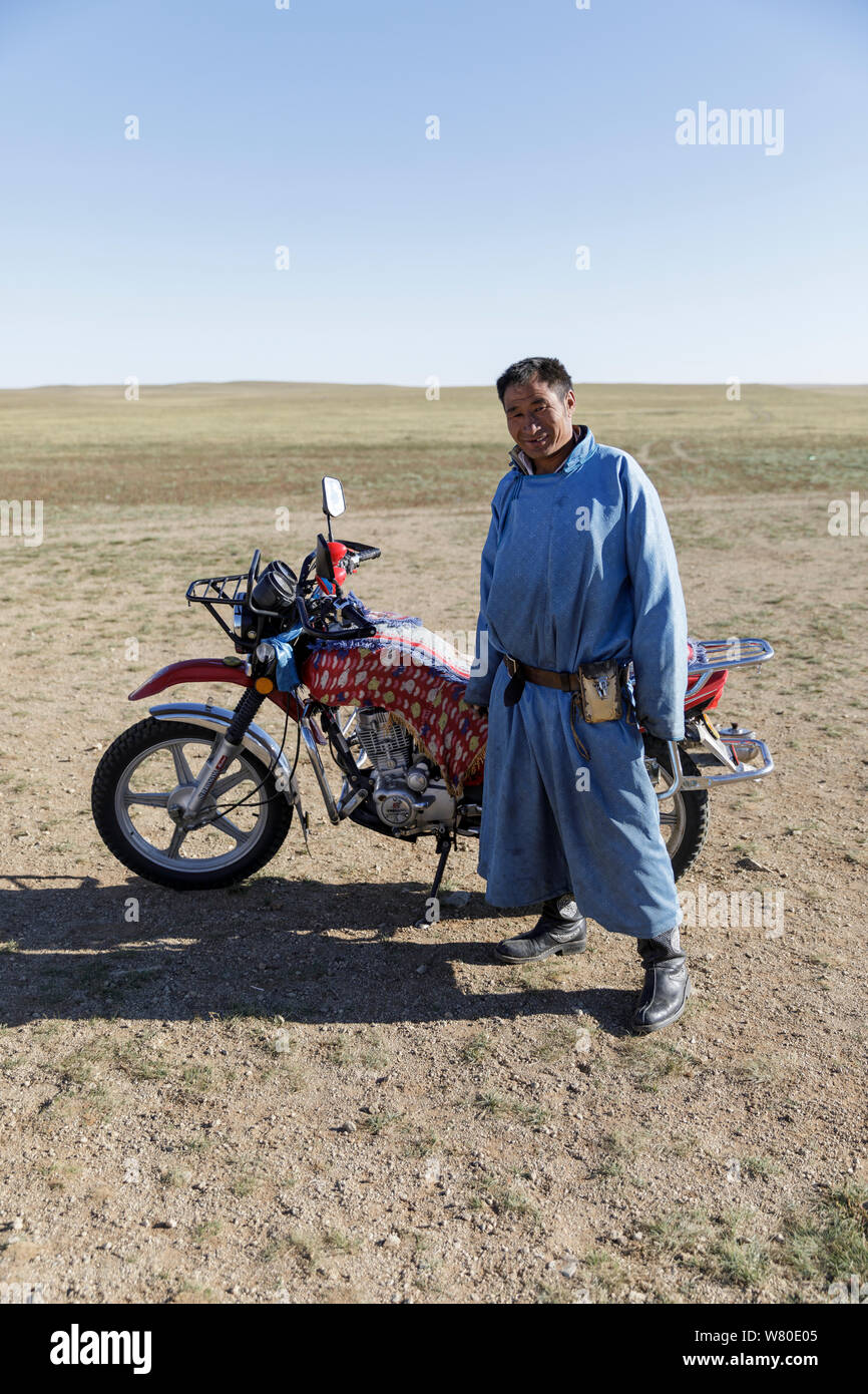Mongolischer deel -Fotos und -Bildmaterial in hoher Auflösung – Alamy