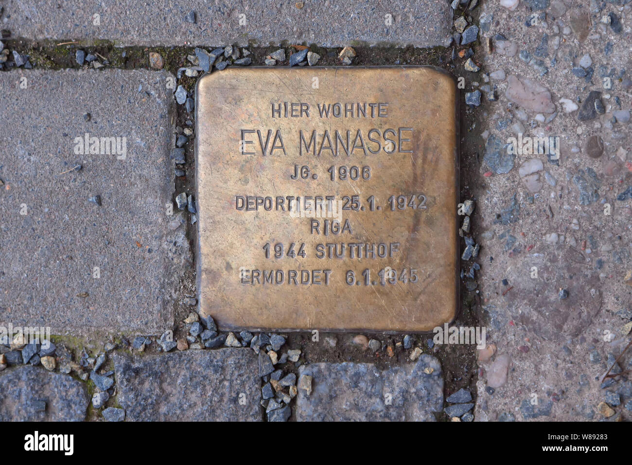 Stolpersteine ??in berlin -Fotos und -Bildmaterial in hoher Auflösung ...