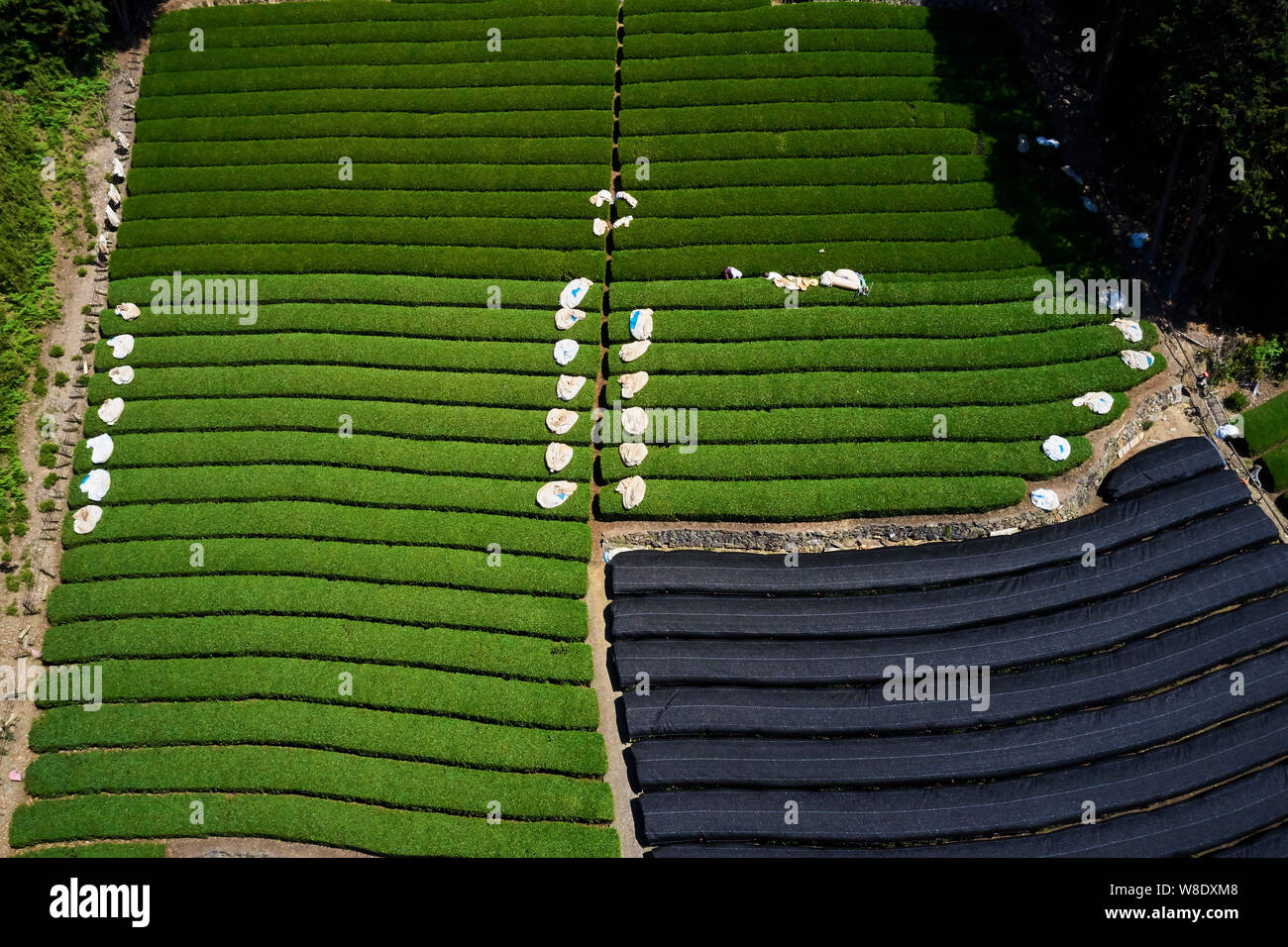 Japan honshu island aerial view -Fotos und -Bildmaterial in hoher Auflösung – Alamy