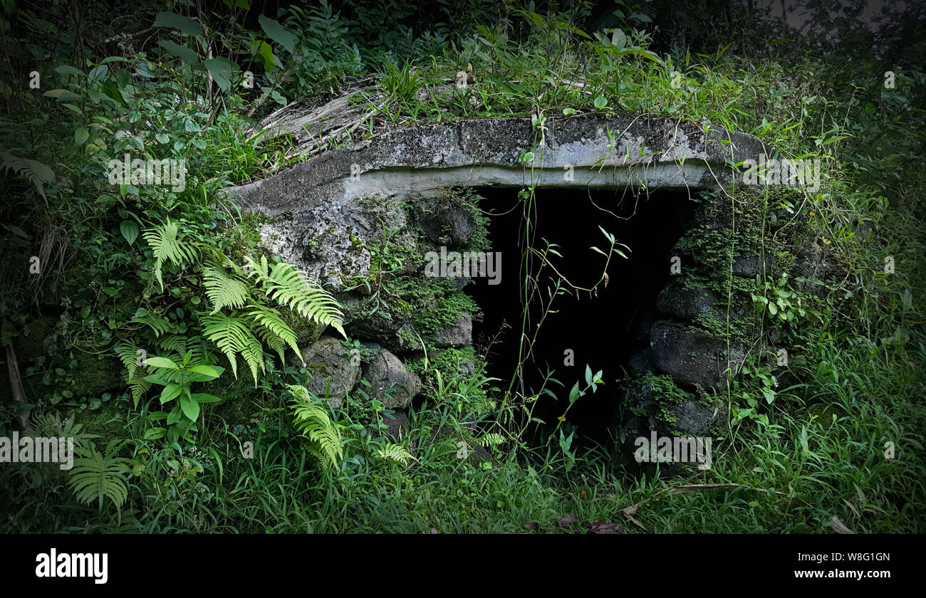 Der gebildete Mann Höhle in Deep green Moos bedeckt Stockfotografie - Alamy