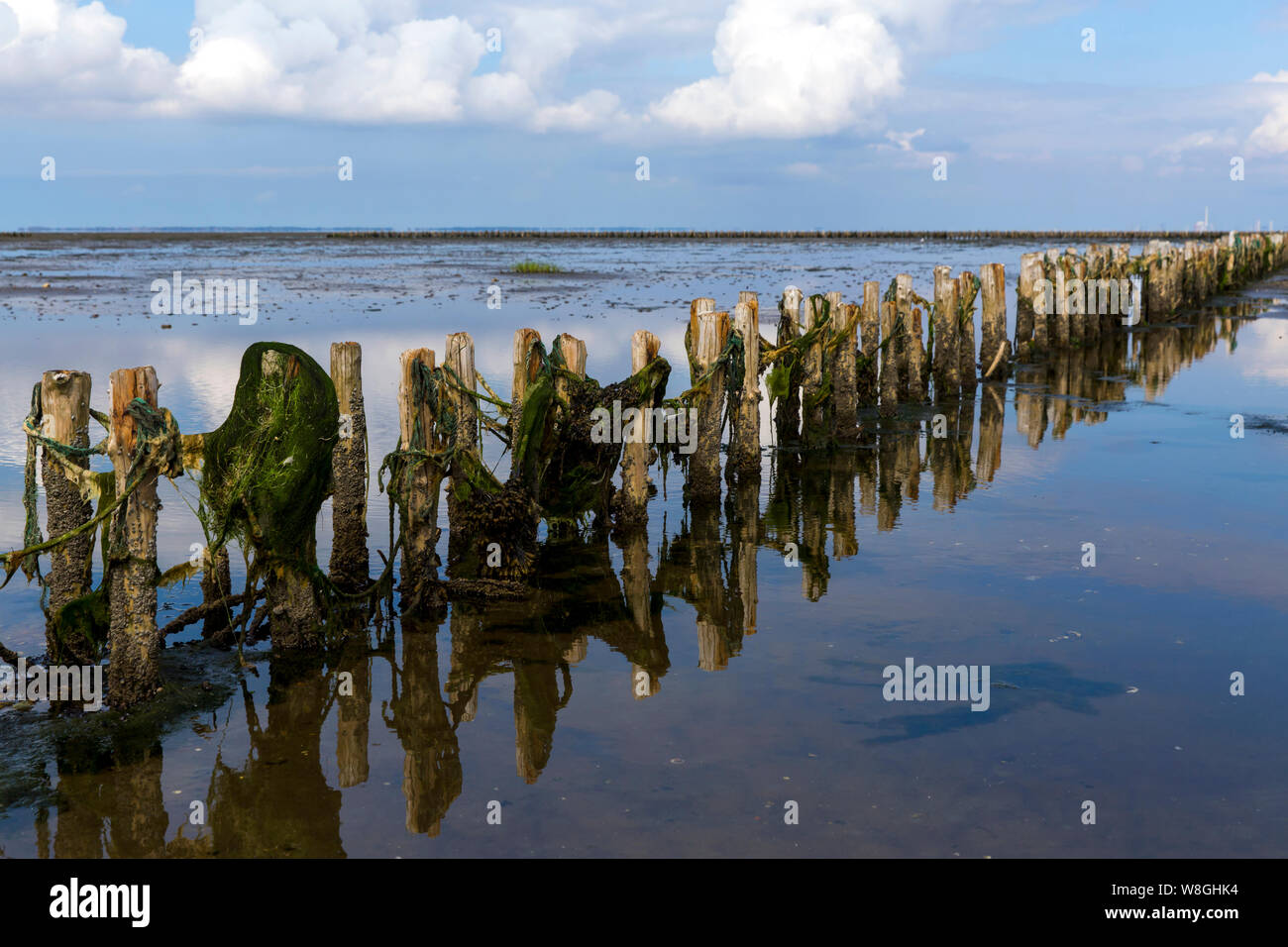 Insel mando -Fotos und -Bildmaterial in hoher Auflösung – Alamy