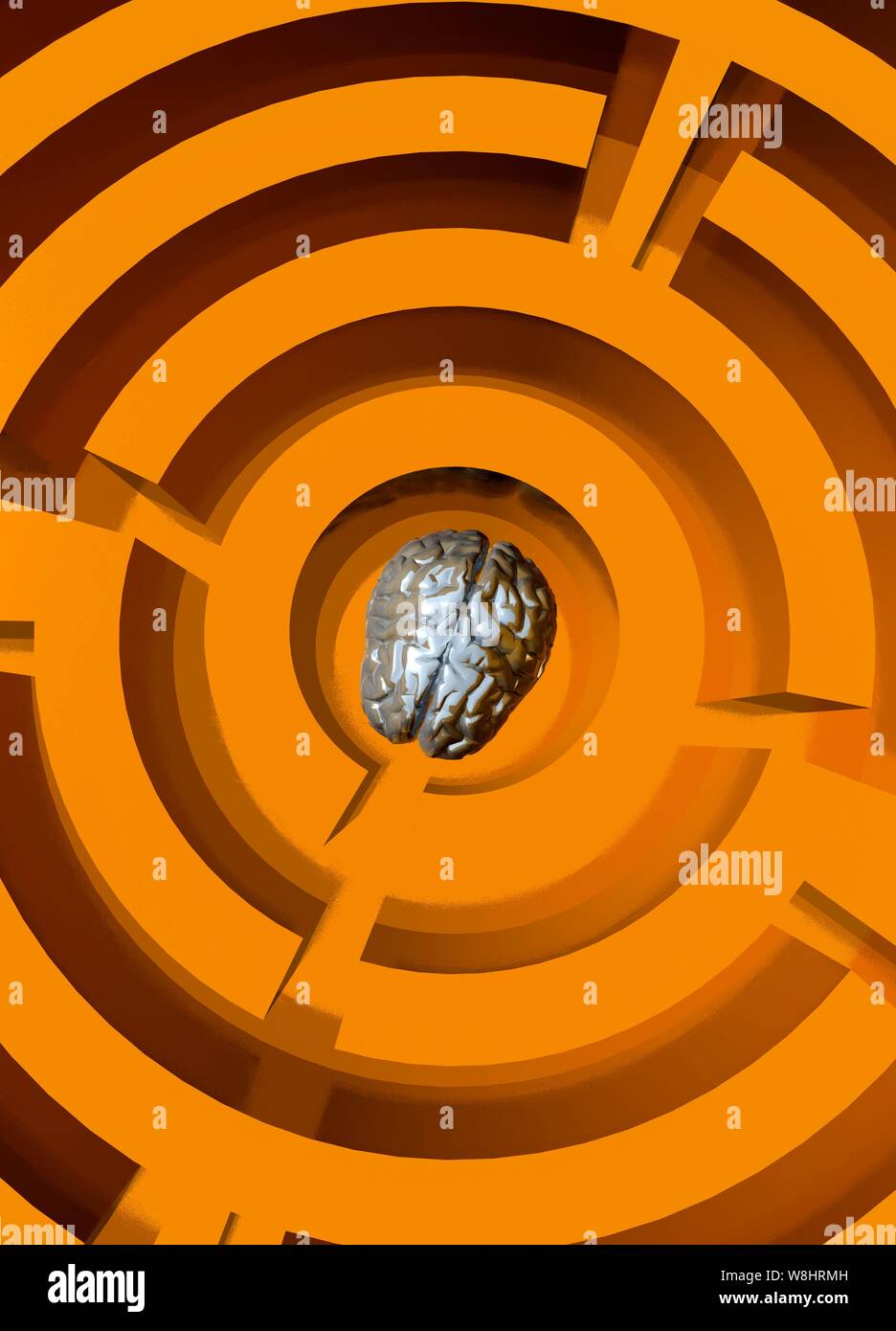Brain labyrinth -Fotos und -Bildmaterial in hoher Auflösung – Alamy