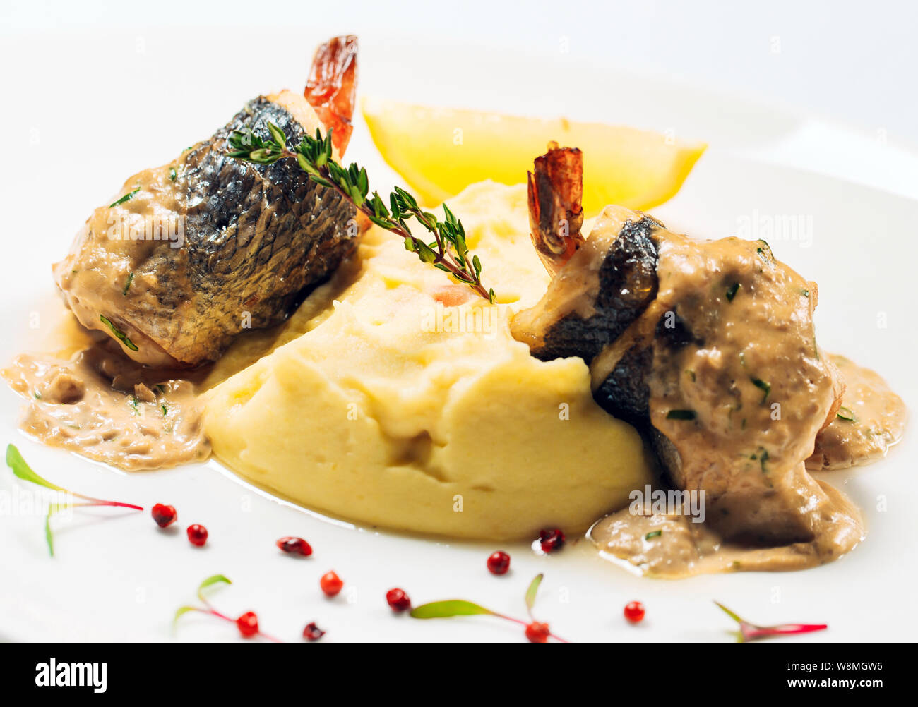 Seebarsch in austernsauce auf die weiße Platte Stockfotografie - Alamy