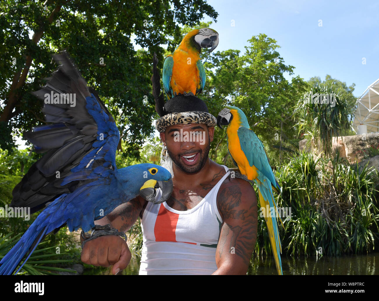 MIAMI, FL - Juli 12: Michael Holston, ist die 24-Year-old, Tierpfleger ...