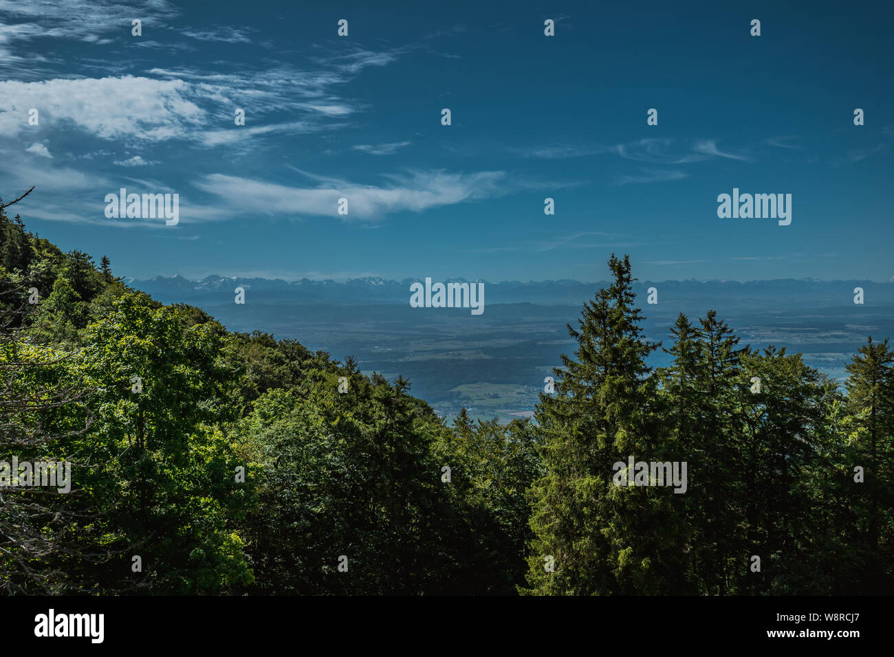 Wandern auf Weissenstein Berg der Schweiz, Panorama der Schweizer Alpen ...