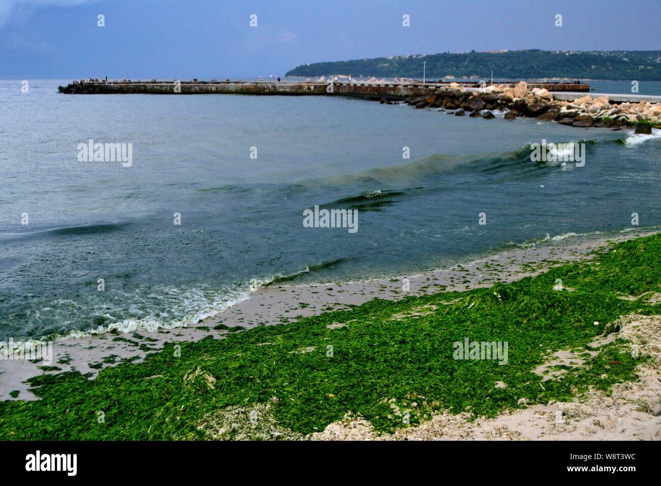 Strand - Sea Garden Park in Bulgarien - Schwarzes Meer - Bulgarien ...