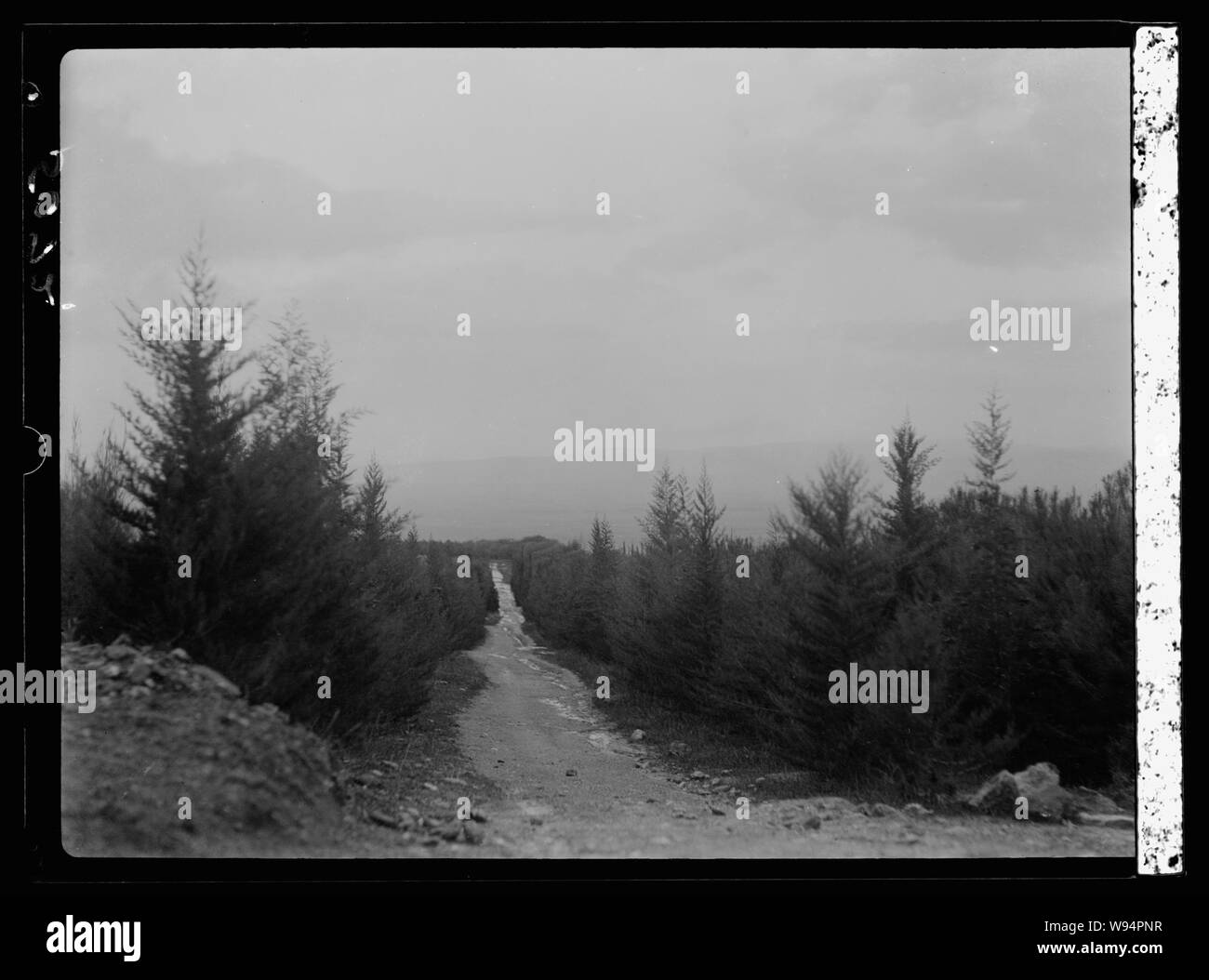 Aufforstung gesponsert -Fotos und -Bildmaterial in hoher Auflösung – Alamy