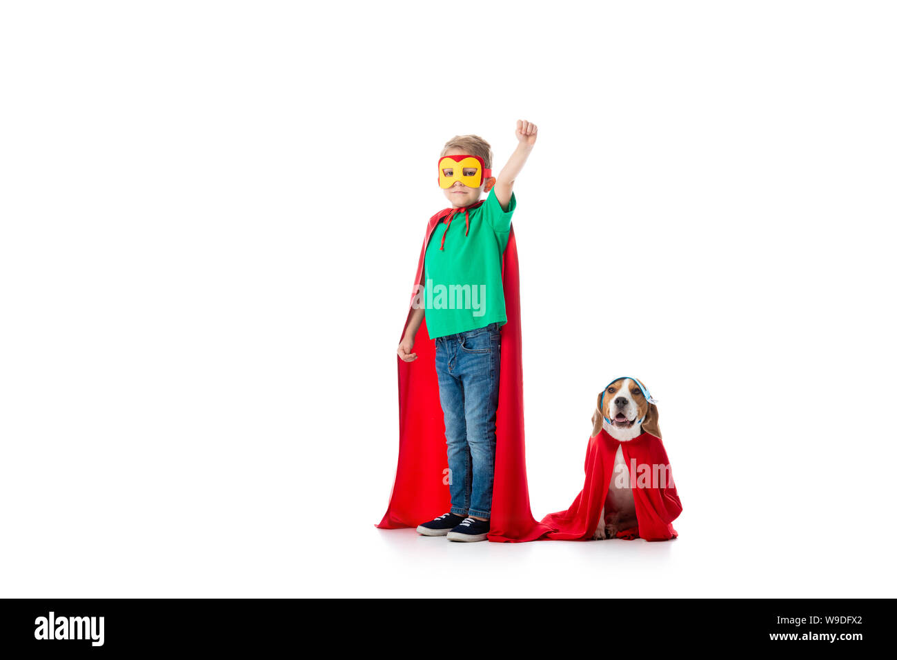Faust dog -Fotos und -Bildmaterial in hoher Auflösung – Alamy