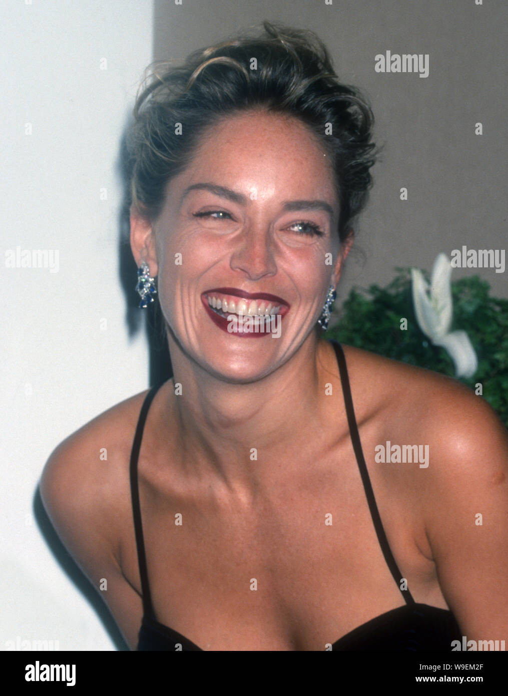 Actress sharon stone 1994 -Fotos und -Bildmaterial in hoher Auflösung ...