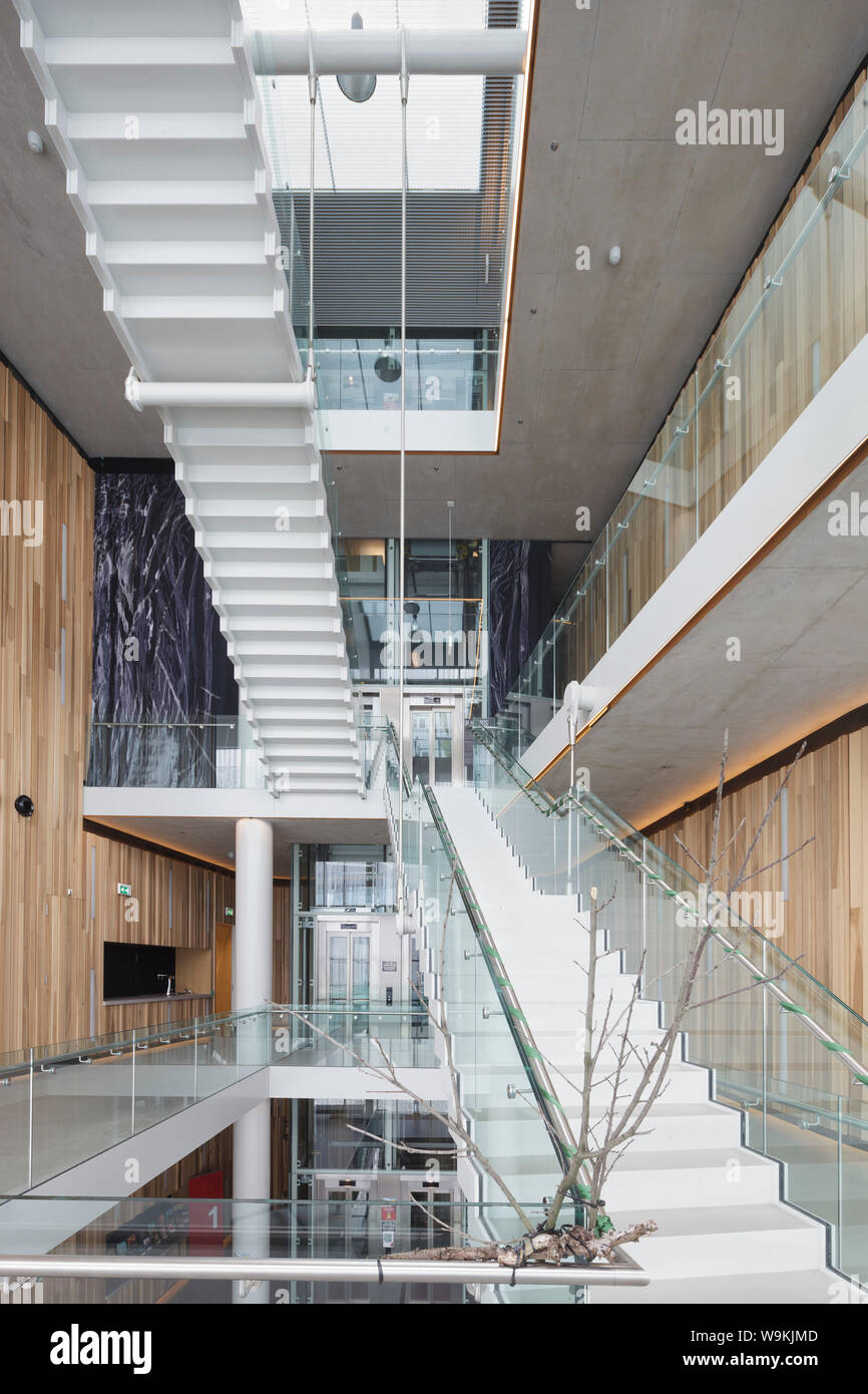 Haupttreppe im Atrium, mit Pappel strip verkleideten Wänden. DE KOM ...