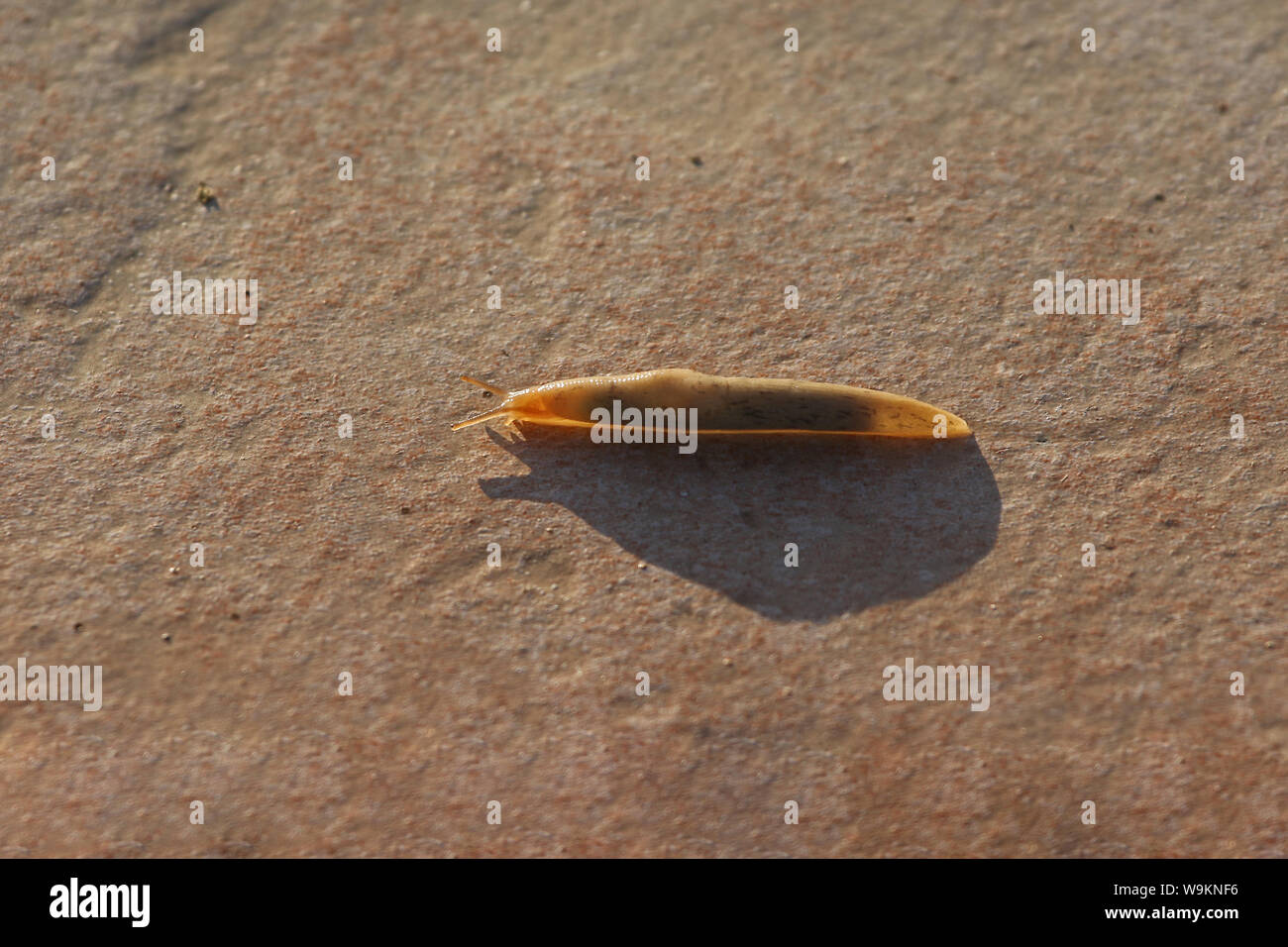Wales inhalt -Fotos und -Bildmaterial in hoher Auflösung – Alamy