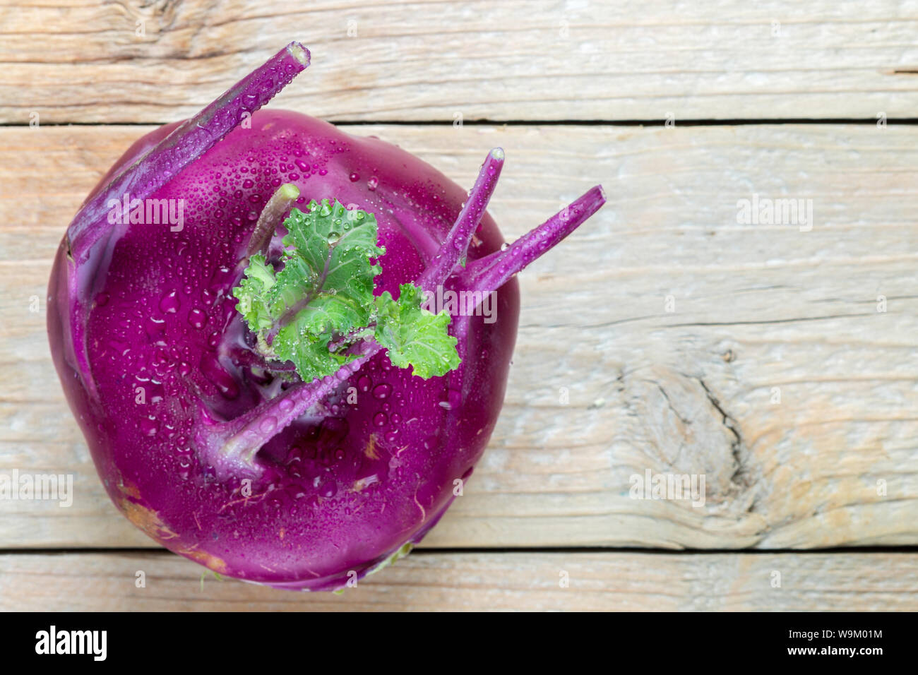 Violet Lila Stockfotos und -bilder Kaufen - Alamy