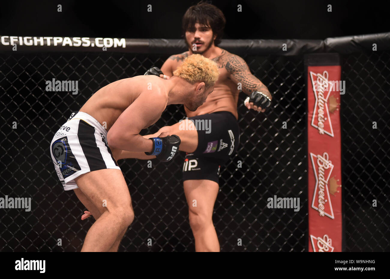 Brasilianischer boxer -Fotos und -Bildmaterial in hoher Auflösung – Alamy