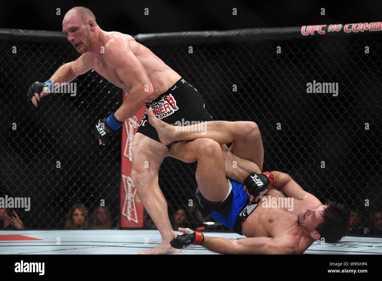 Brasilianischer boxer -Fotos und -Bildmaterial in hoher Auflösung – Alamy