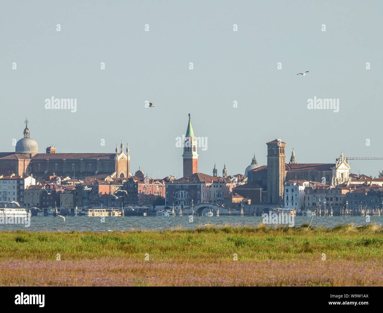 Blick auf San Marco Glockenturm von Campalto die Lagune von Venedig ...