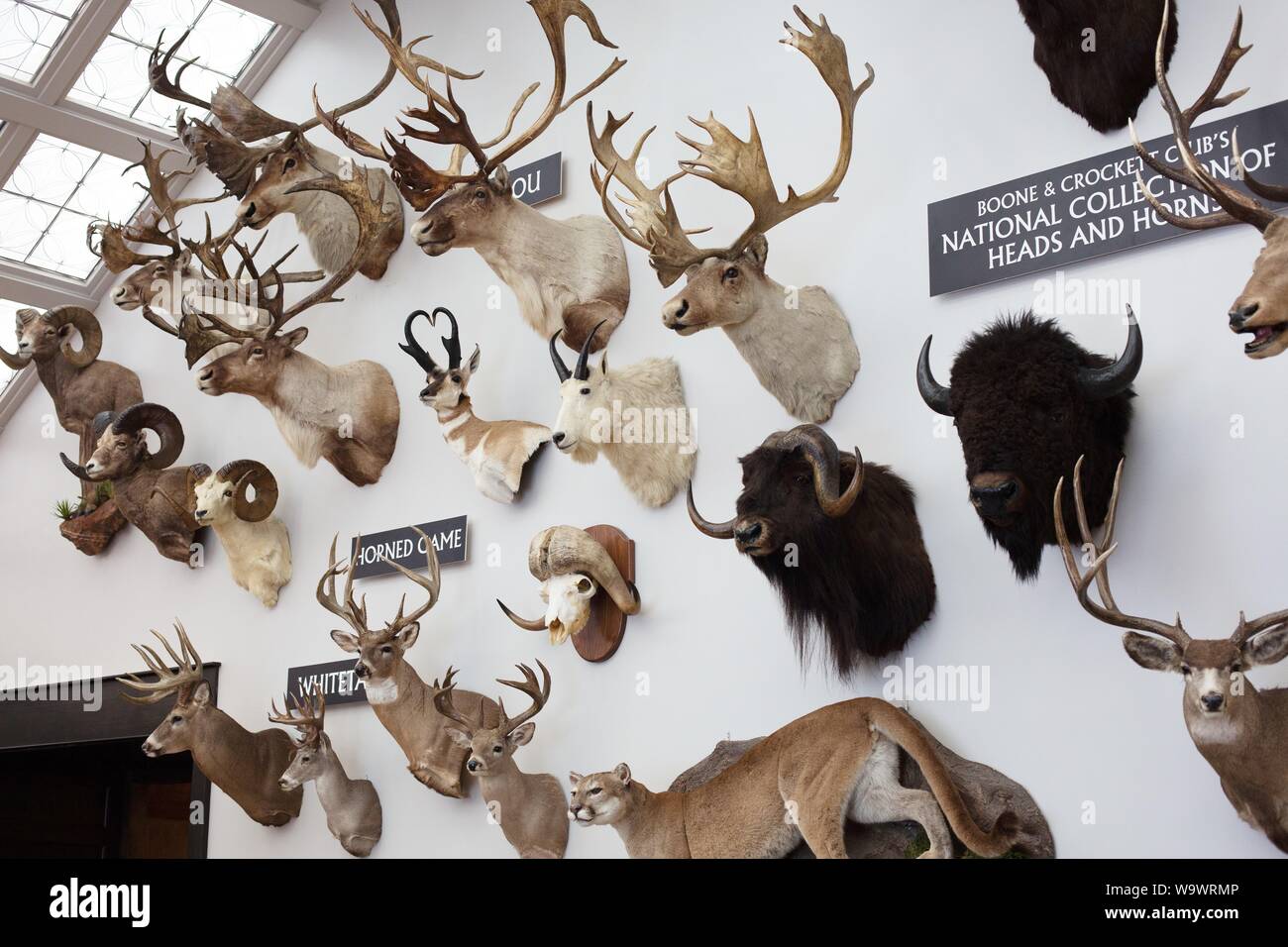 Wunder der tierwelt nationalmuseum und aquarium -Fotos und ...