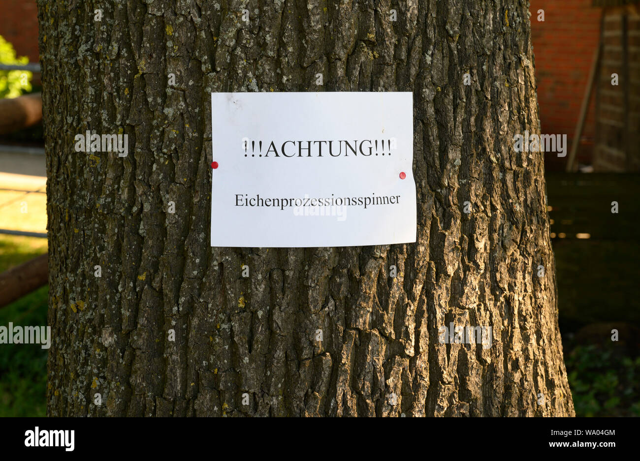 Achtung eichenprozessionsspinner -Fotos und -Bildmaterial in hoher Auflösung – Alamy