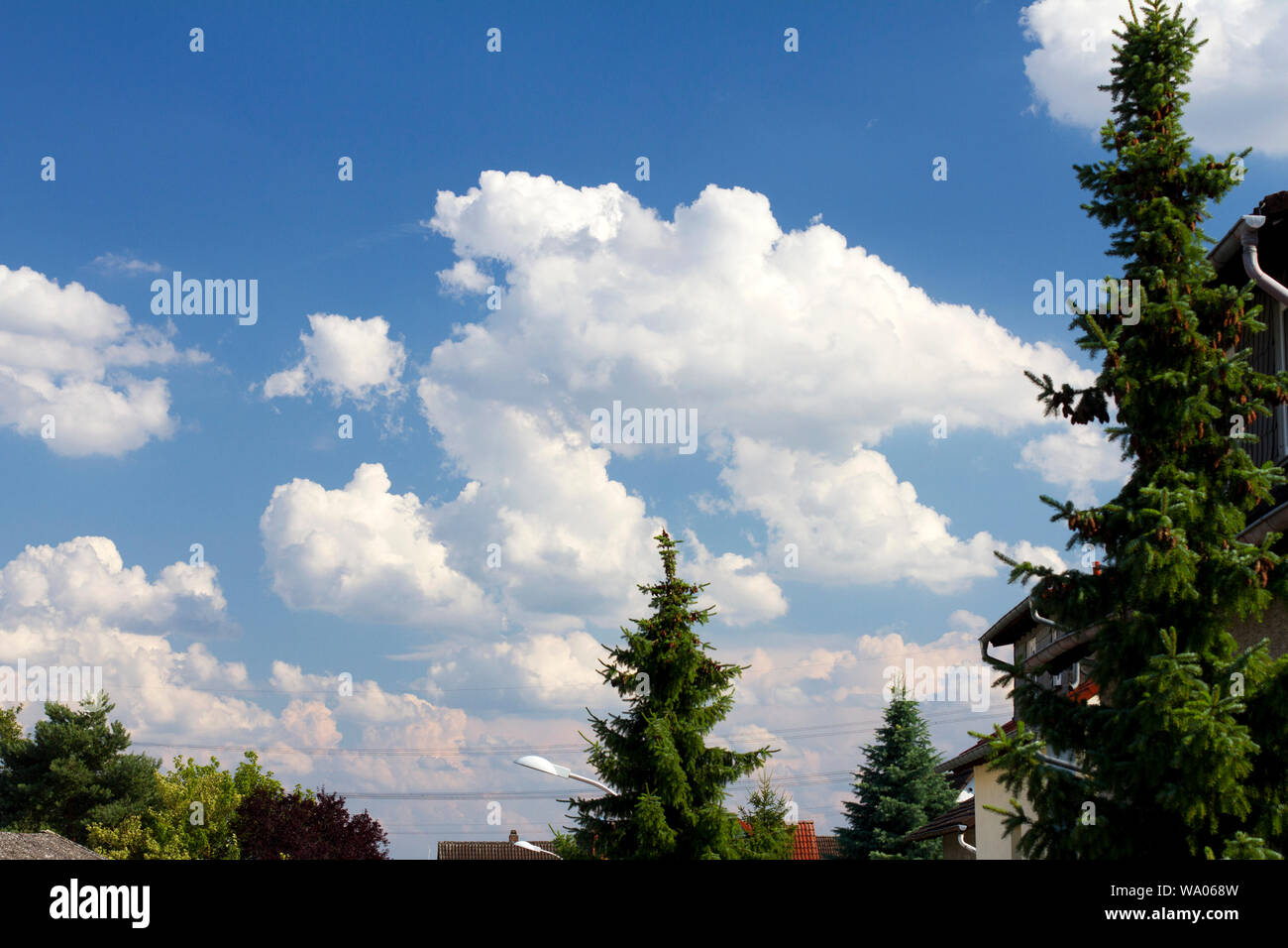 Cumulus mediocris -Fotos und -Bildmaterial in hoher Auflösung – Alamy