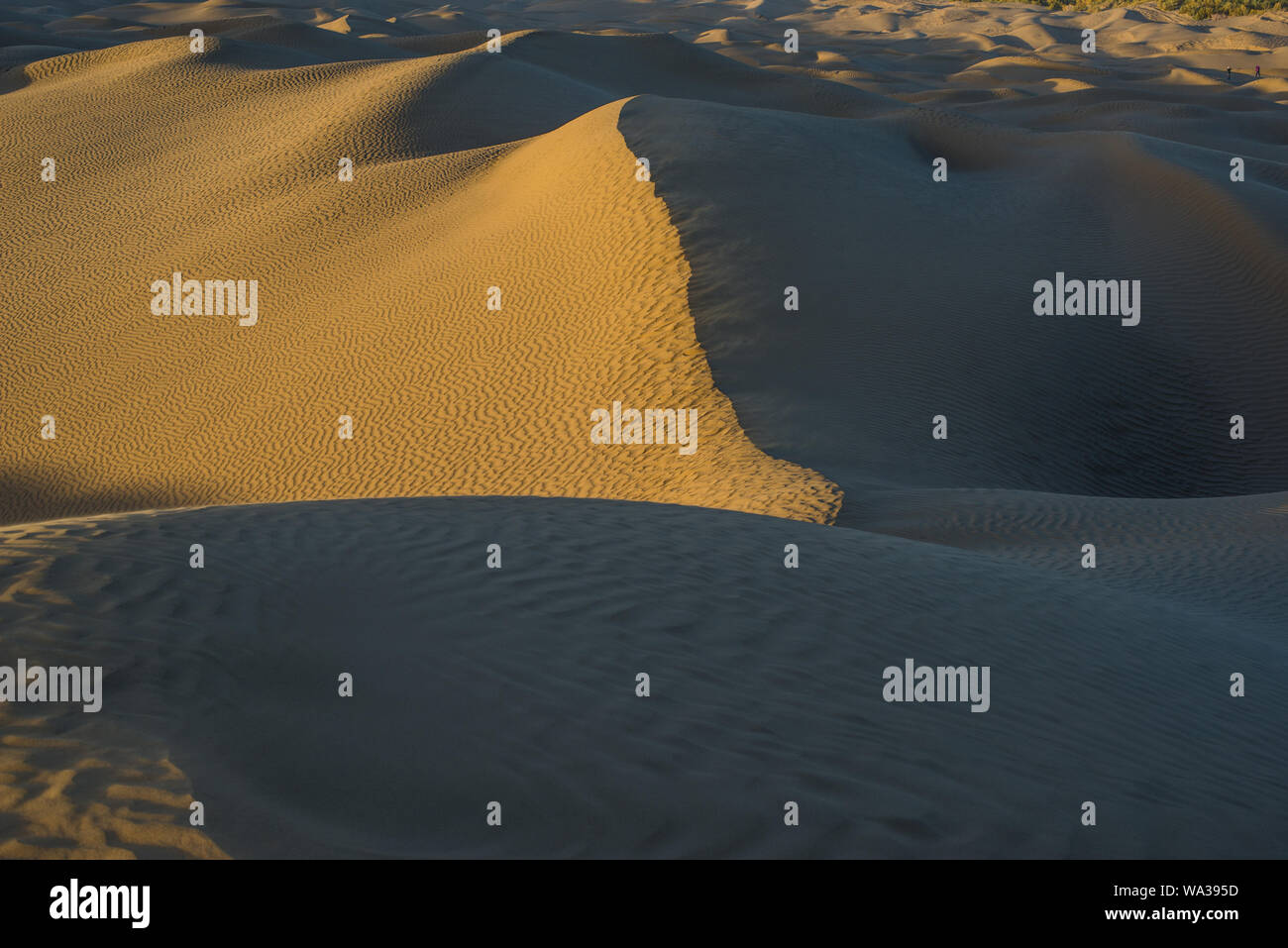 Wüste taklamakan tarimbecken -Fotos und -Bildmaterial in hoher ...