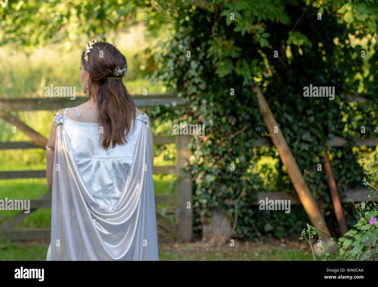 Titania – queen of fairies -Fotos und -Bildmaterial in hoher Auflösung ...