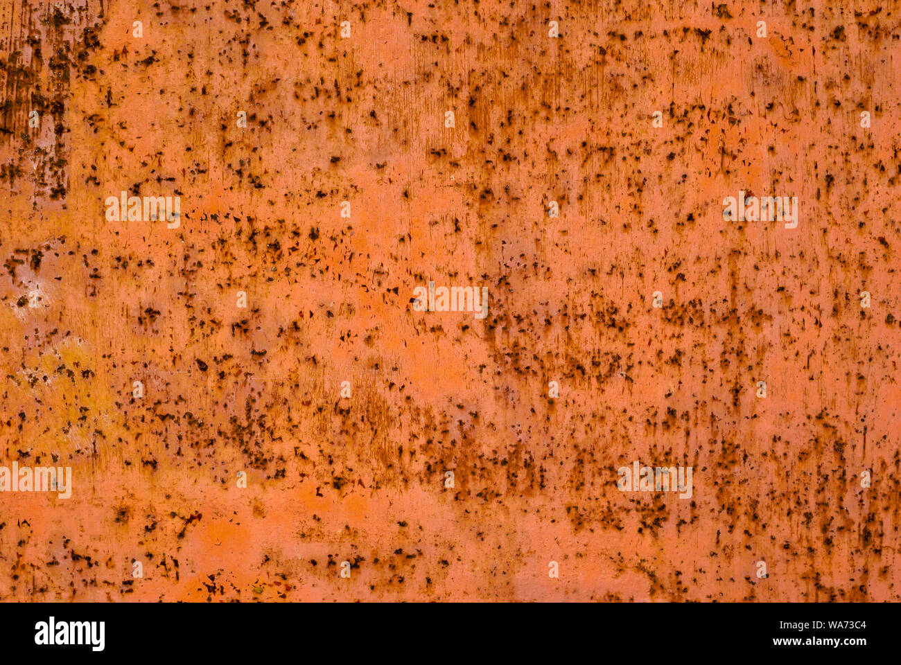 Gelbbraun grundiert -Fotos und -Bildmaterial in hoher Auflösung – Alamy