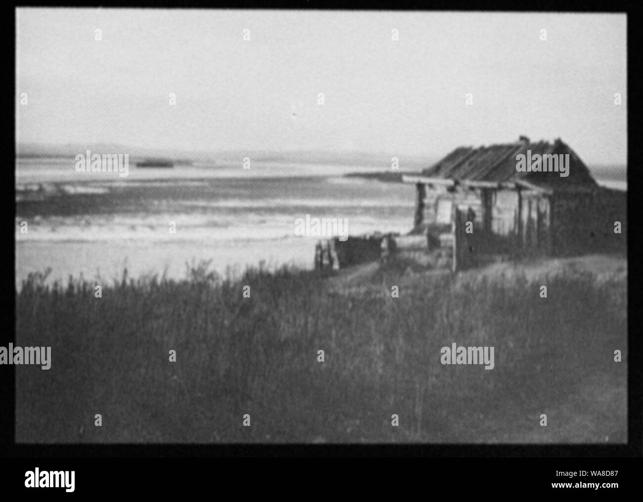 Ussuri fluss -Fotos und -Bildmaterial in hoher Auflösung – Alamy