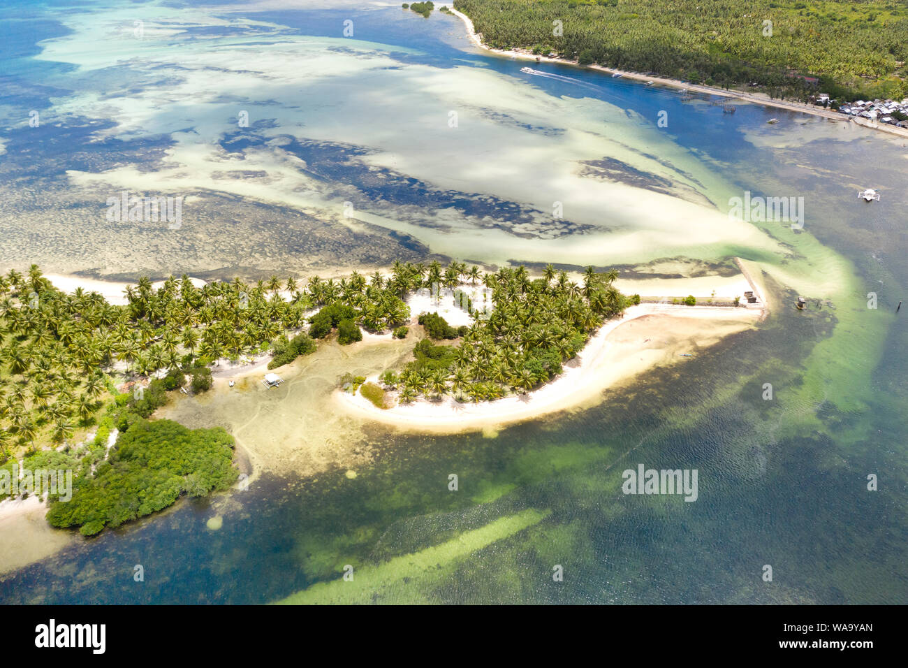Tropische Insel mit Palmen und weißem Sandstrand, Ansicht von oben ...