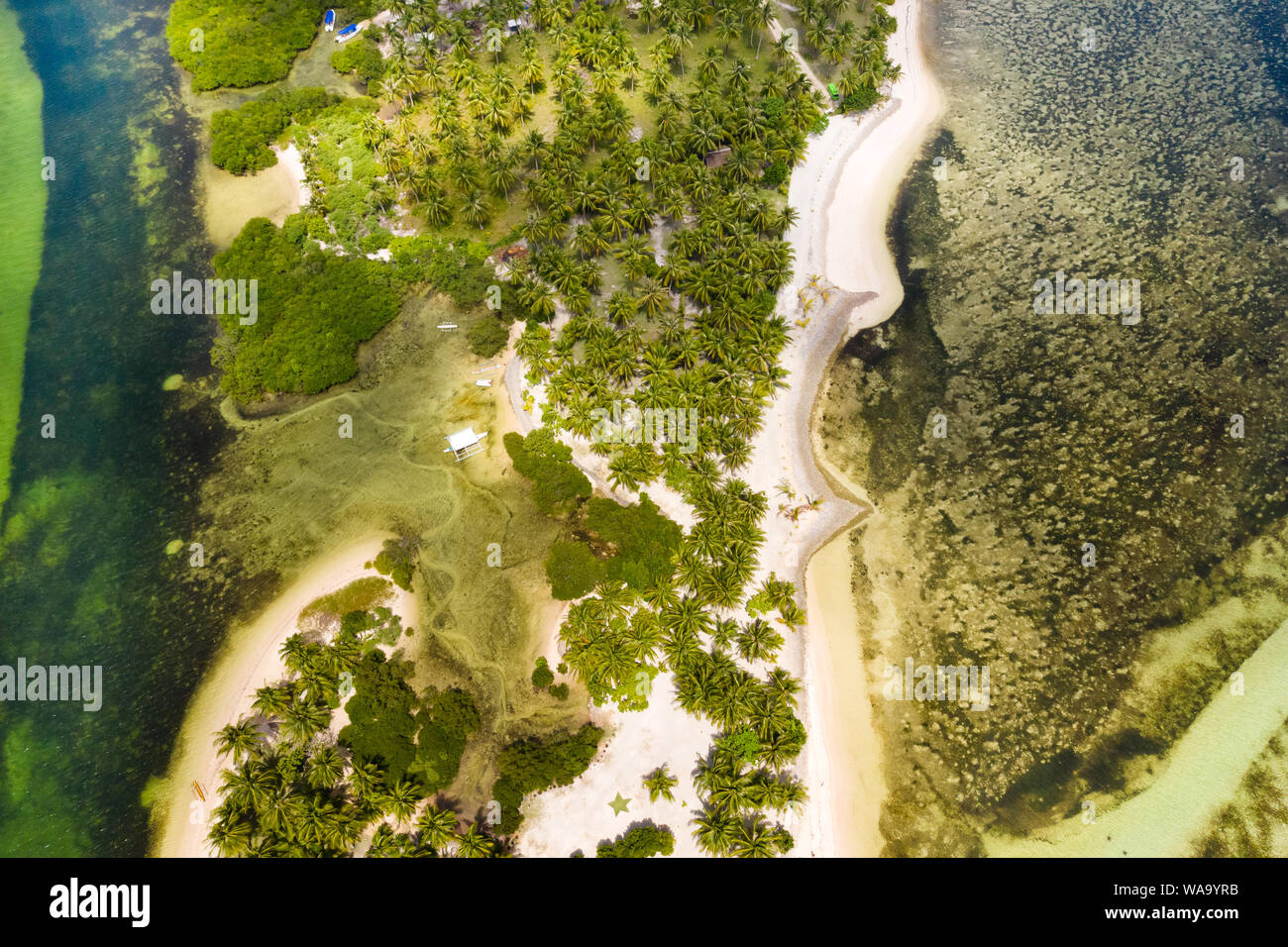 Tropische Insel mit Palmen und weißem Sandstrand, Ansicht von oben ...