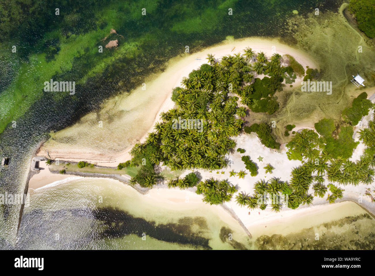Tropische Insel mit Palmen und weißem Sandstrand, Ansicht von oben ...