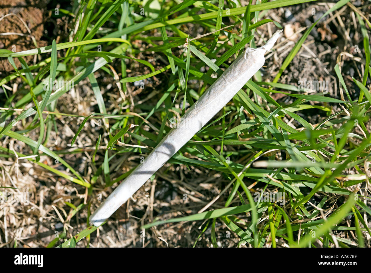 Cannabis joint -Fotos und -Bildmaterial in hoher Auflösung – Alamy