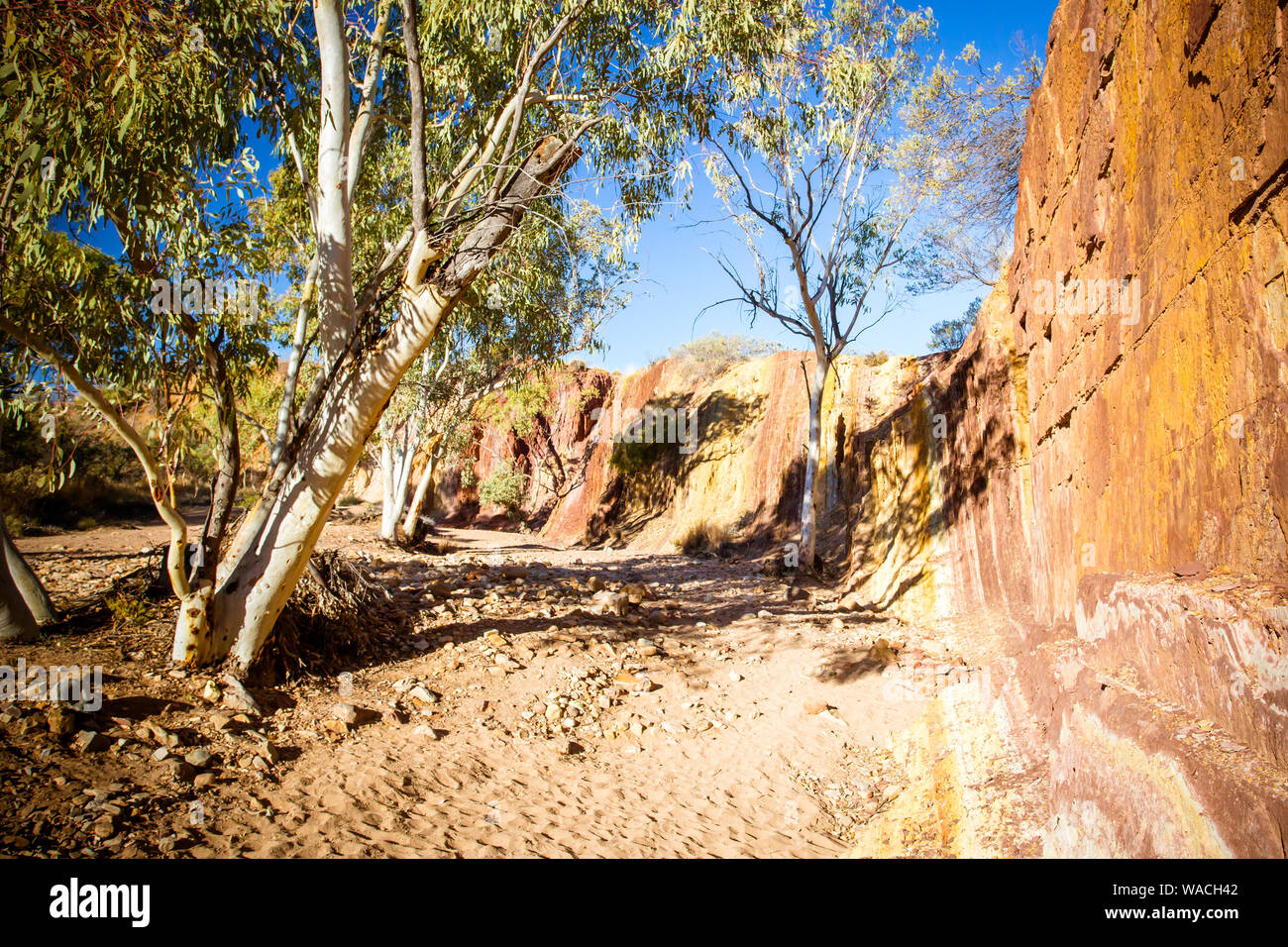 Australian aboriginals -Fotos und -Bildmaterial in hoher Auflösung – Alamy