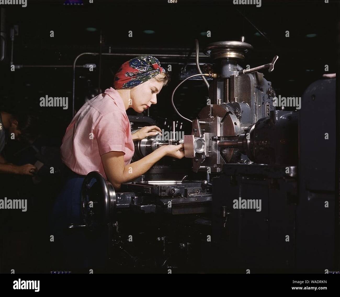 Douglas lang -Fotos und -Bildmaterial in hoher Auflösung – Alamy