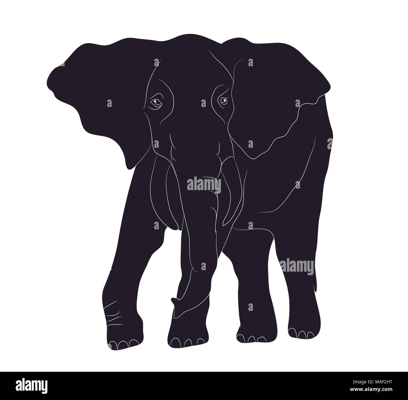 Elefant geht weiter Zeichnung Silhouette, Vector, weißer Hintergrund ...