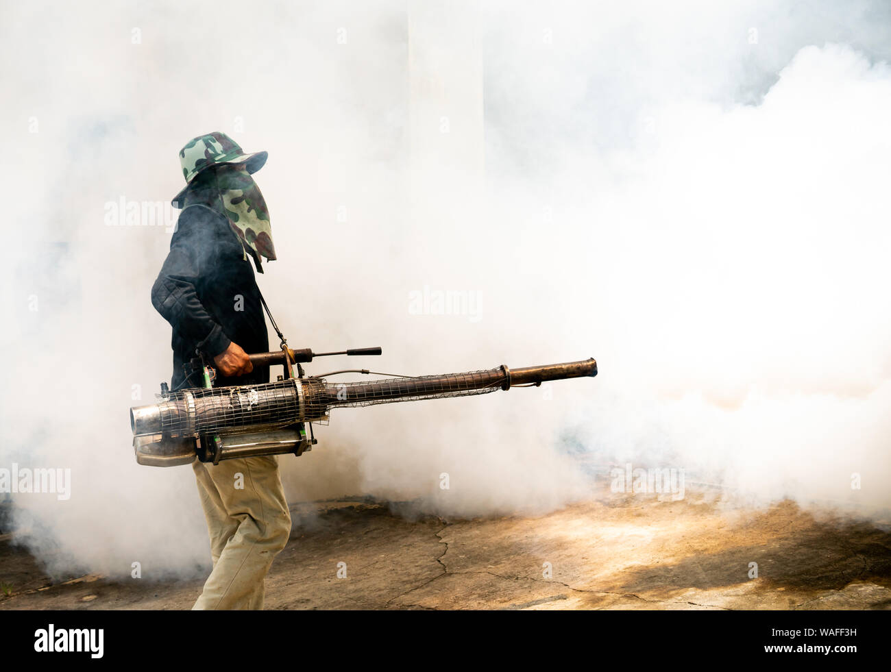 Dengi virus -Fotos und -Bildmaterial in hoher Auflösung – Alamy