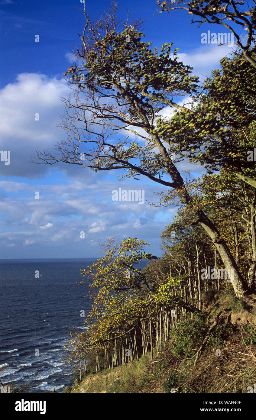 Nationalpark Wollin Stockfotos und -bilder Kaufen - Alamy