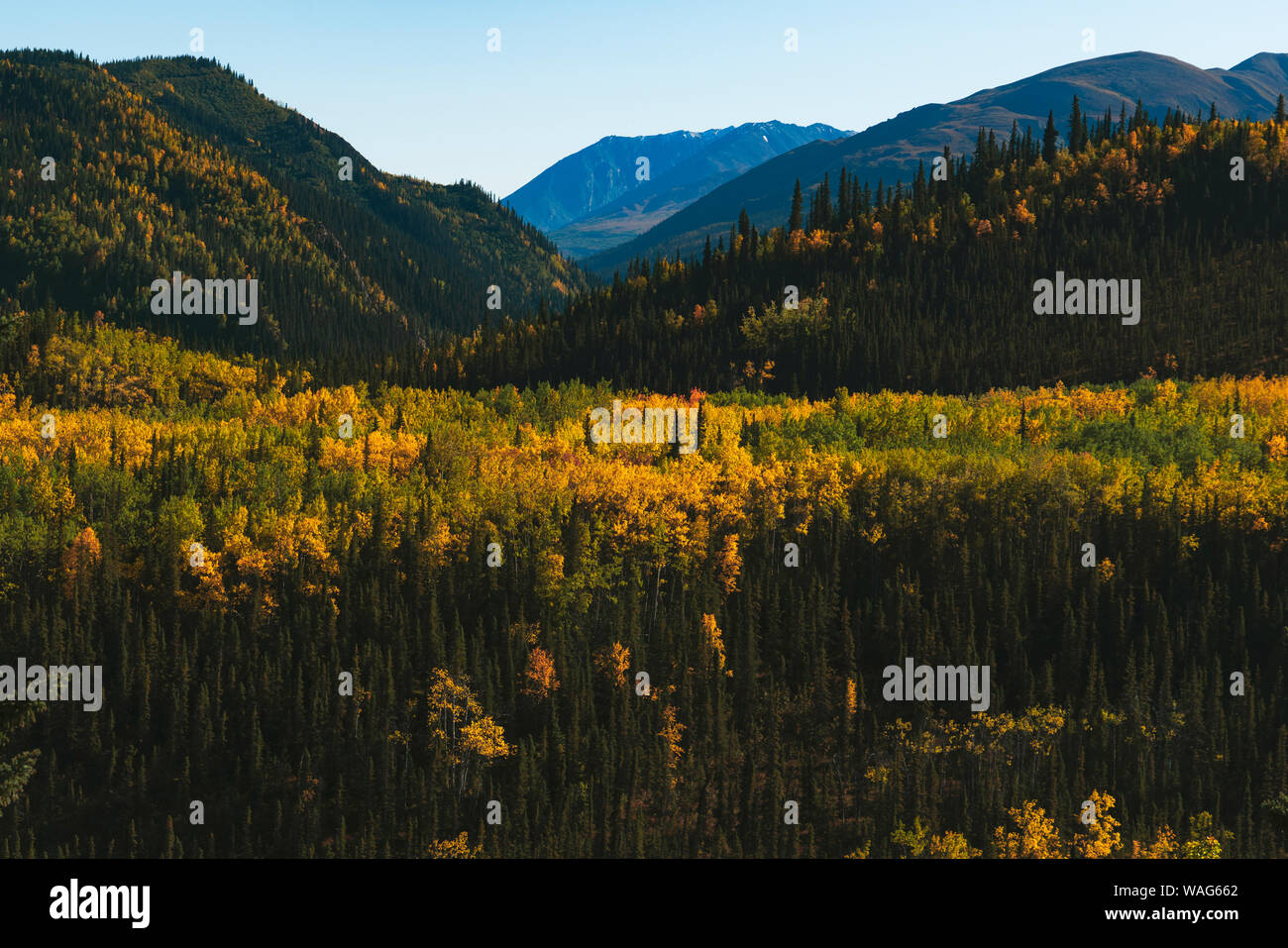 Berge im denali nationalpark -Fotos und -Bildmaterial in hoher ...
