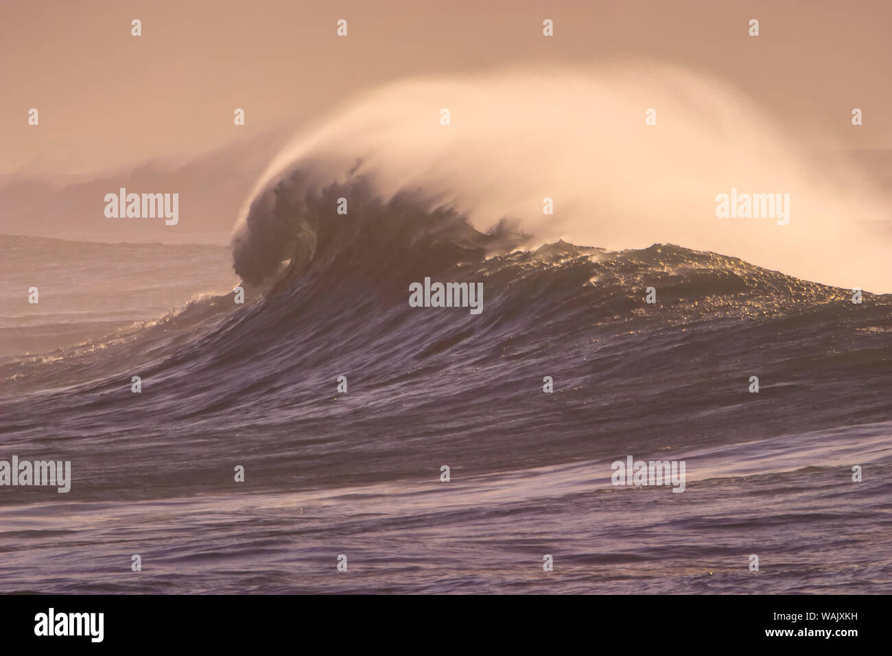 Welle am nordufer oahu -Fotos und -Bildmaterial in hoher Auflösung – Alamy