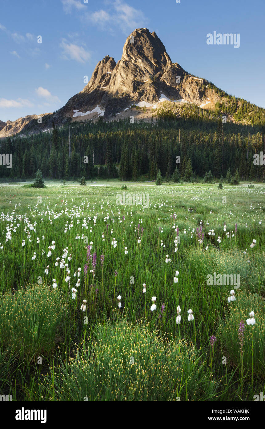 Liberty bell berg -Fotos und -Bildmaterial in hoher Auflösung – Alamy