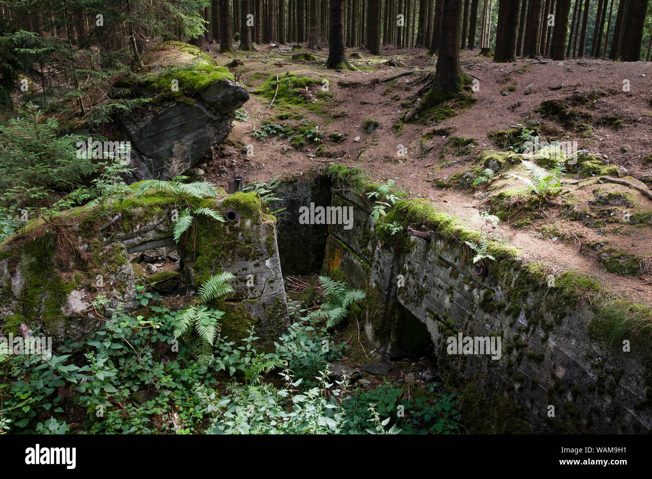 Hitler bunker 1945 -Fotos und -Bildmaterial in hoher Auflösung – Alamy