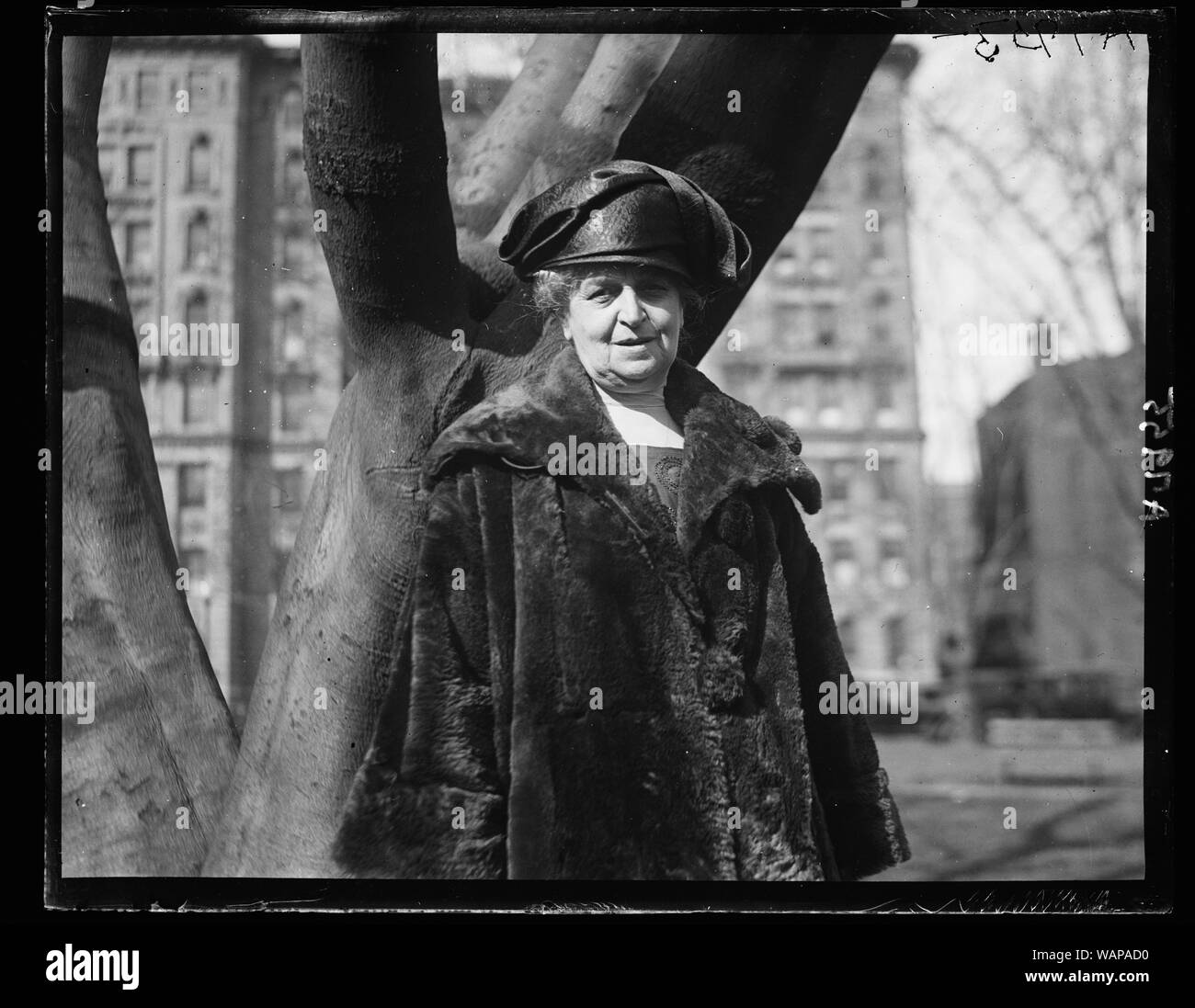 Maud mccarthy -Fotos und -Bildmaterial in hoher Auflösung – Alamy