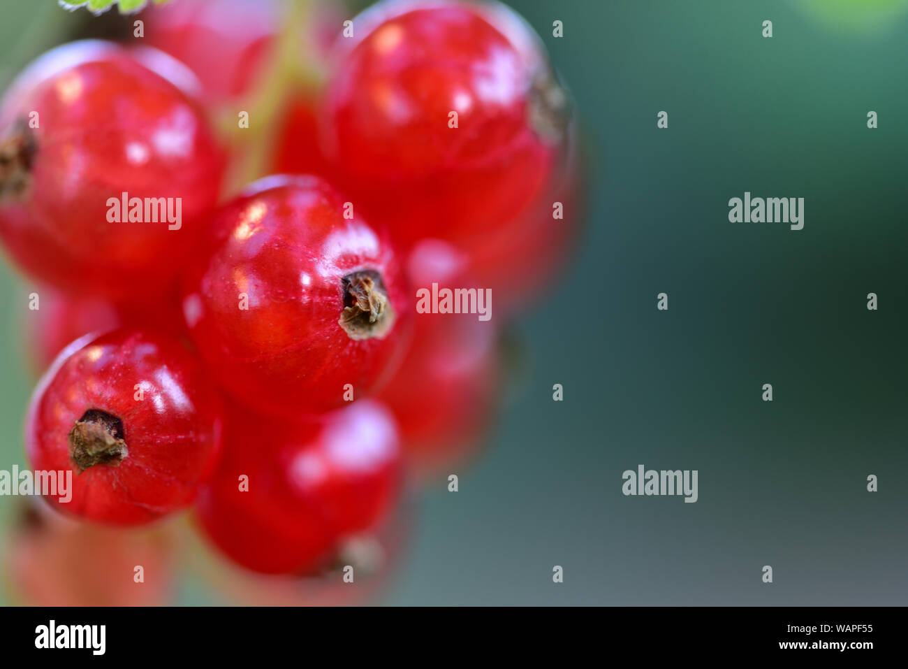 Ackerbau ackerbau anbauen anbauen anbau anbauen anbauen anbauen anbauen ...