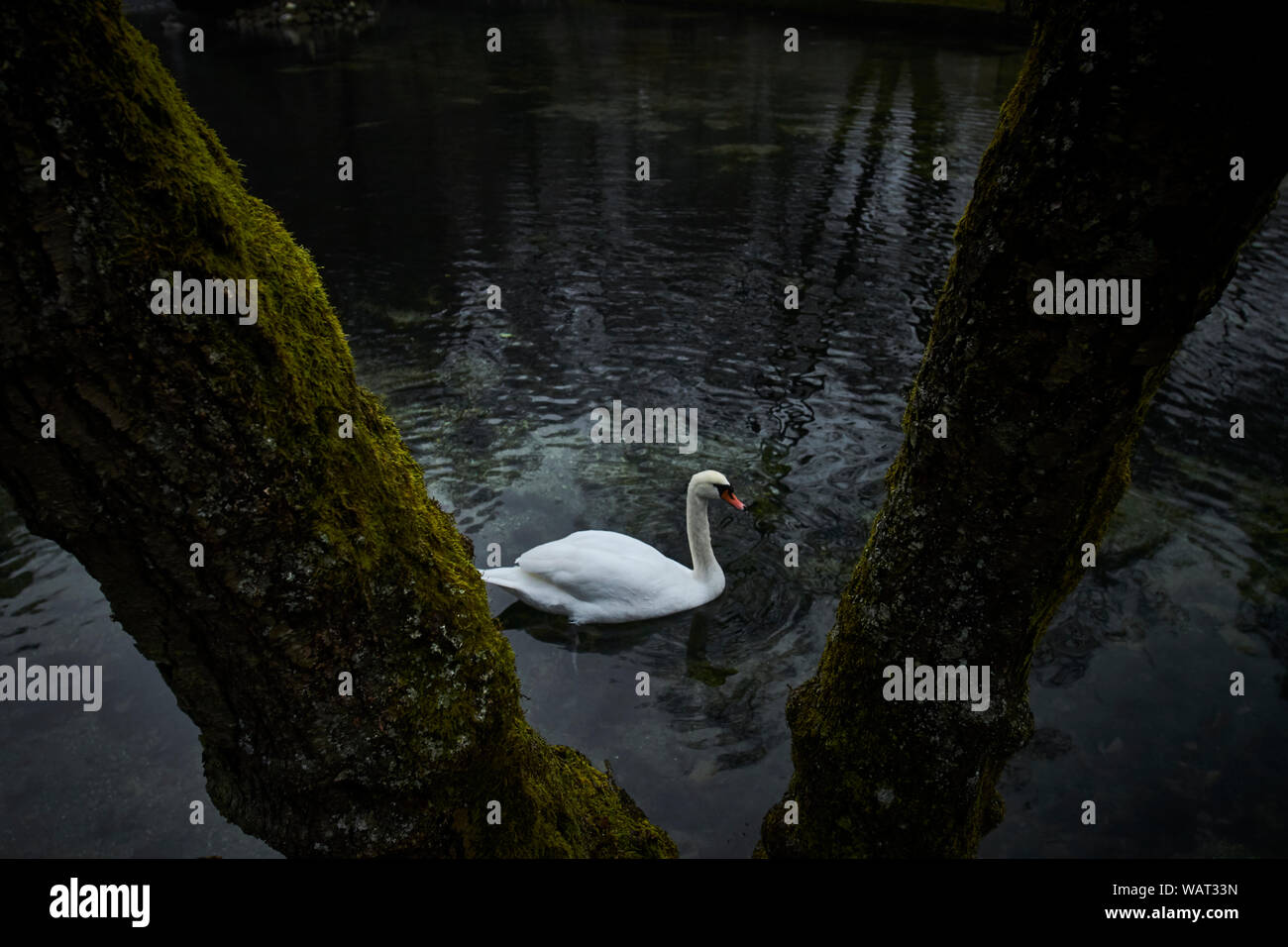 Niveles visuales -Fotos und -Bildmaterial in hoher Auflösung – Alamy