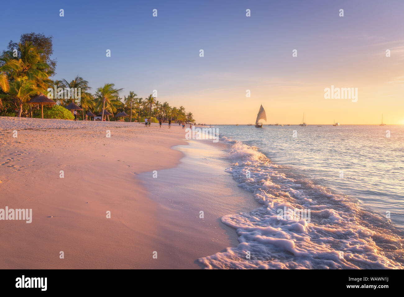 Meer von palmen -Fotos und -Bildmaterial in hoher Auflösung – Alamy